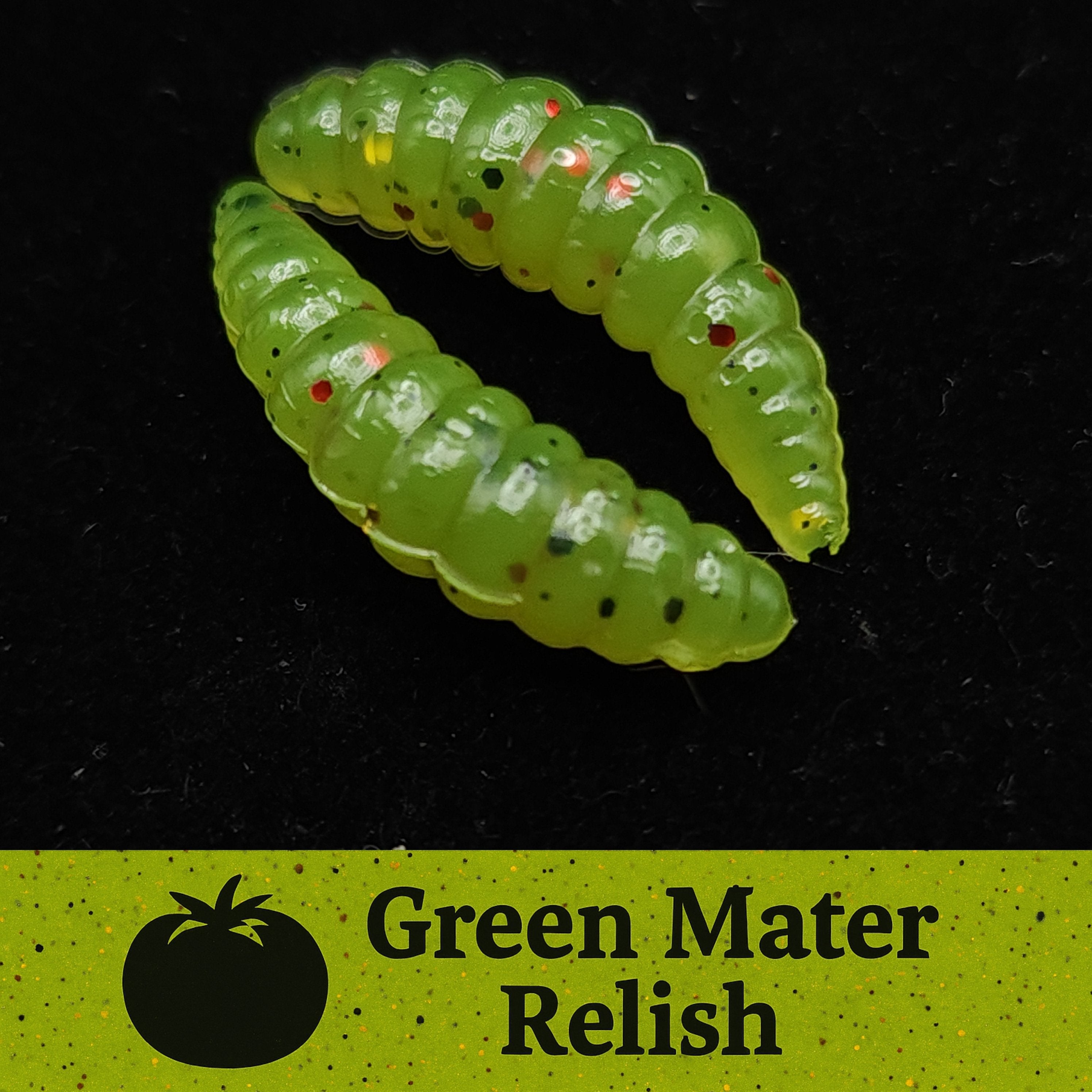 Jar of 1" Waxworm "The Tater Bug" – Inundatio.com